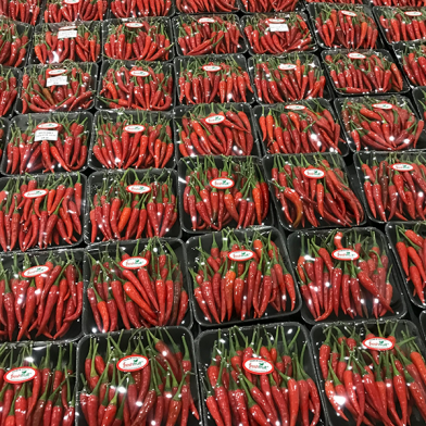 Vegetable